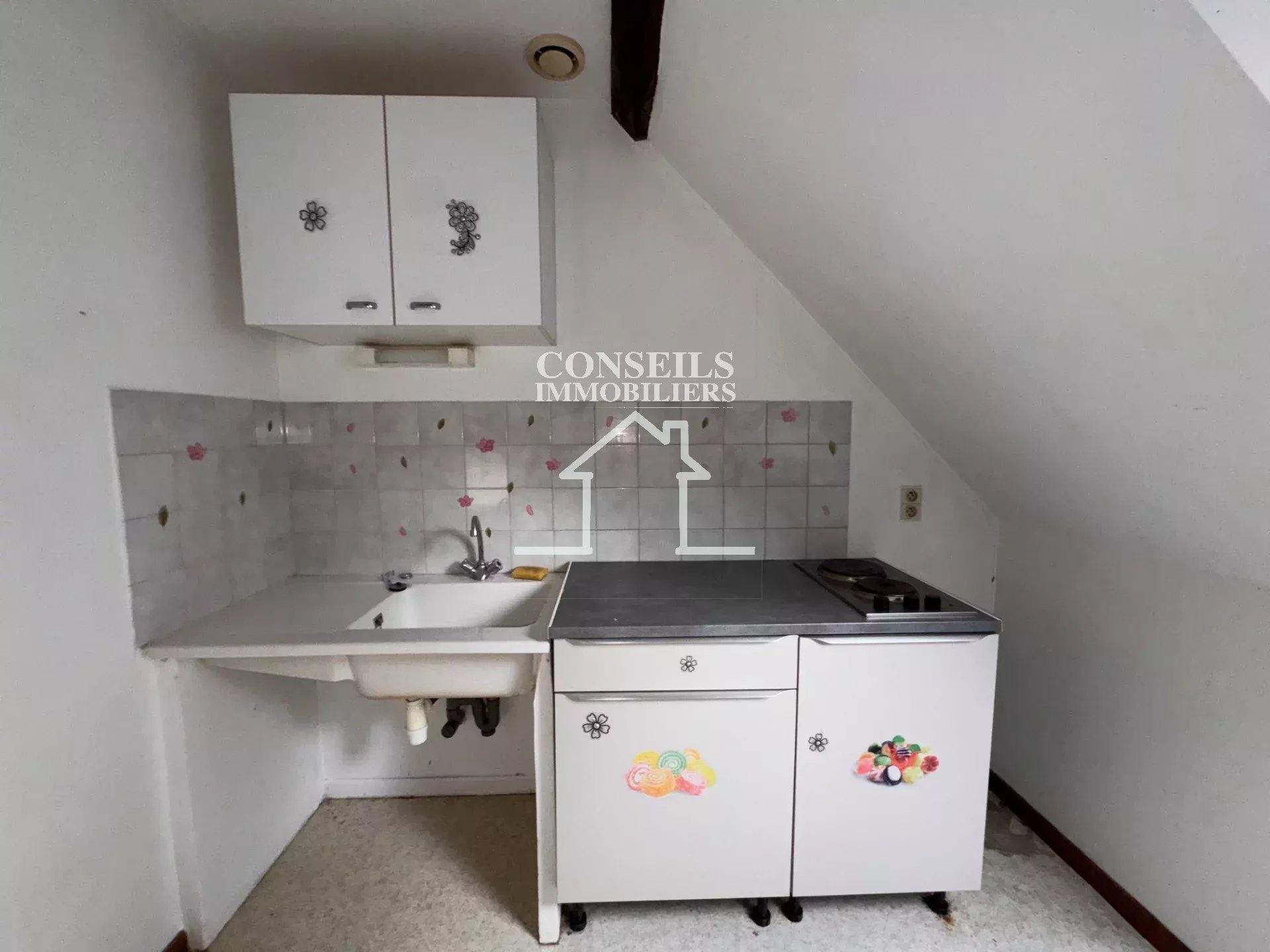 SAINT JULIEN DU SAULT