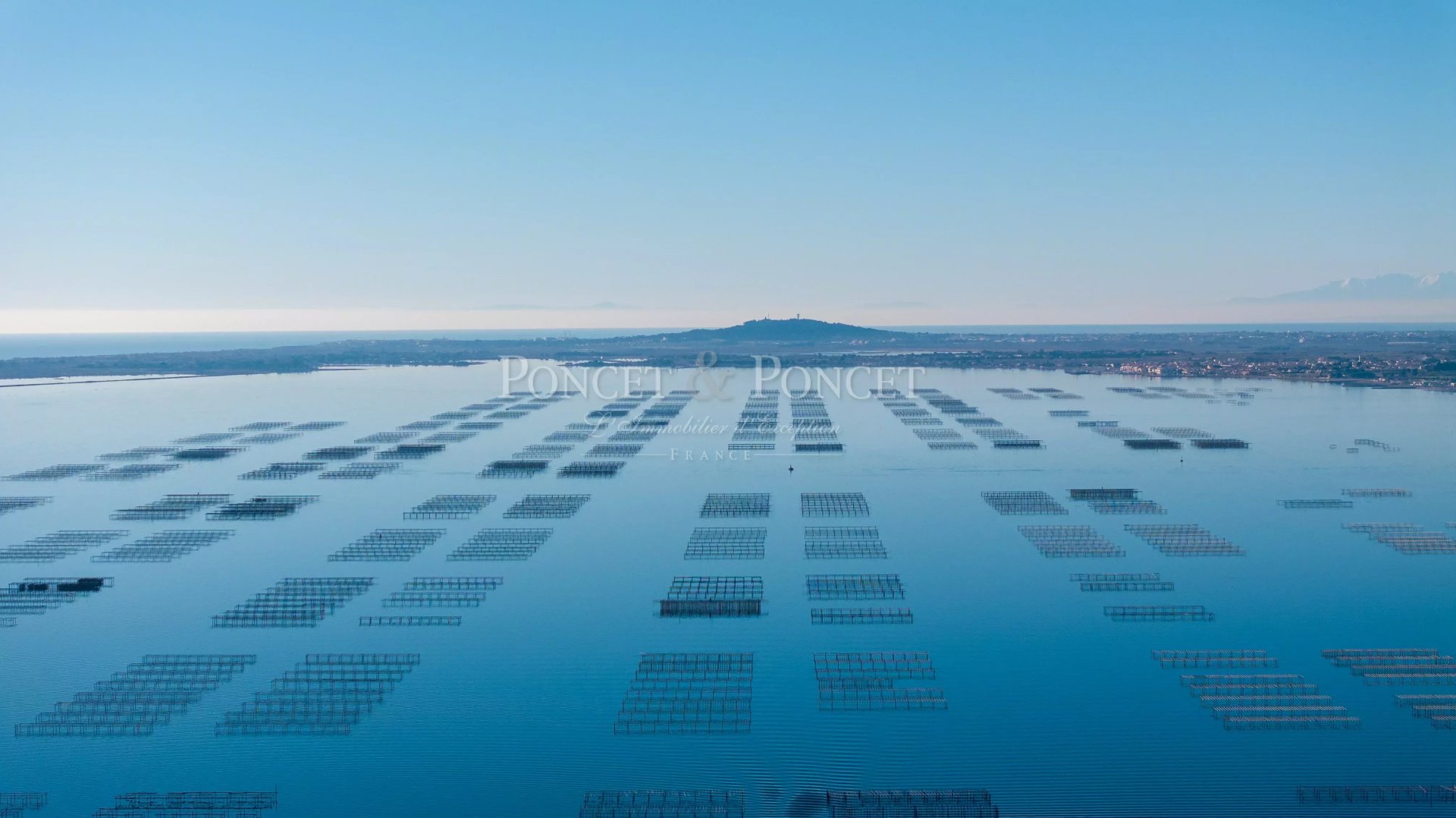 Lucrative Shellfish Farm On The Etang De Thau With Restaurant. with ID ...