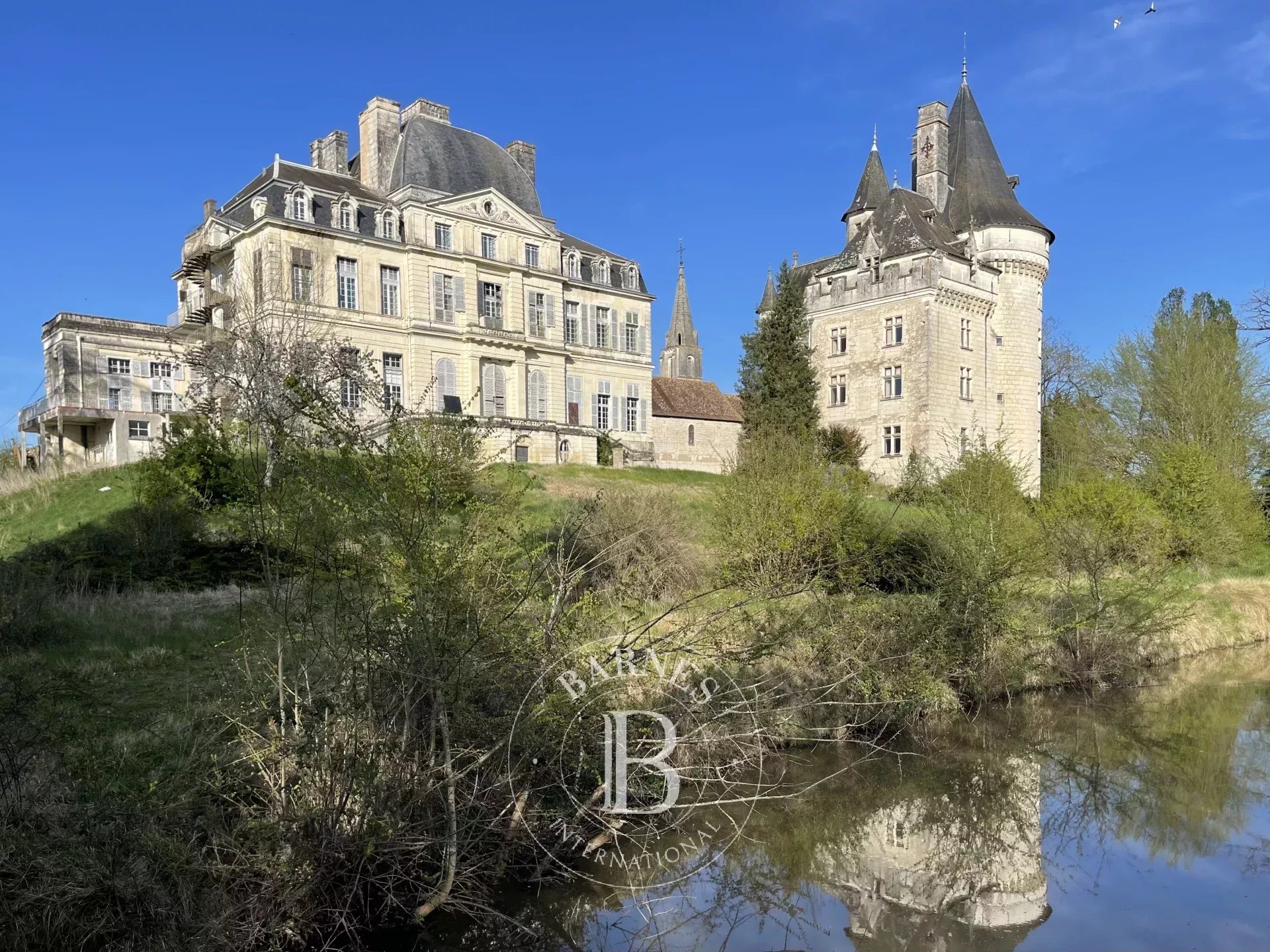 Vente château avec hectares BARNES Propriétés et Châteaux