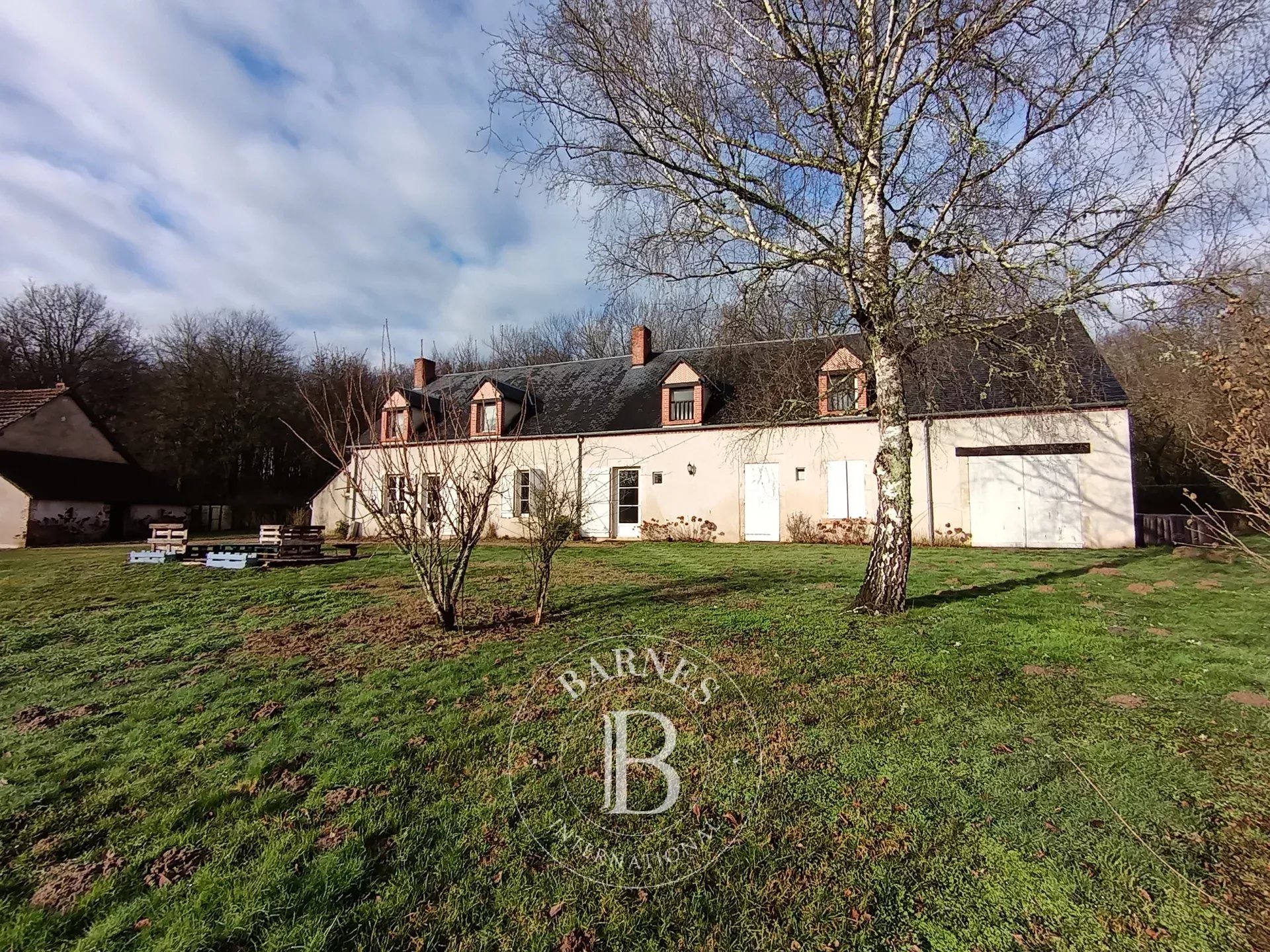 Propriété avec forêt et Forêt à vendre - BARNES Propriétés et Châteaux