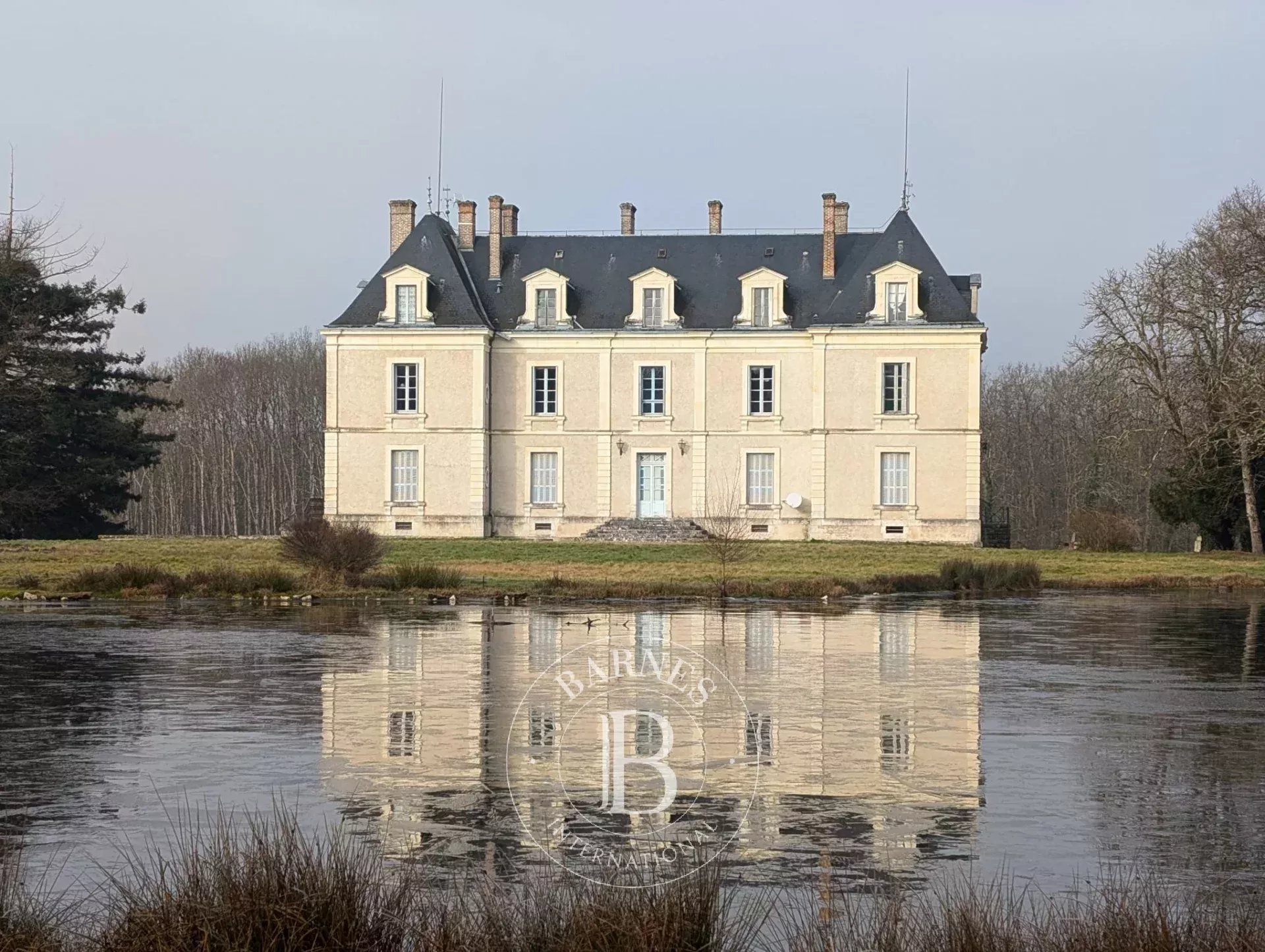 Propriété avec forêt et Forêt à vendre - BARNES Propriétés et Châteaux