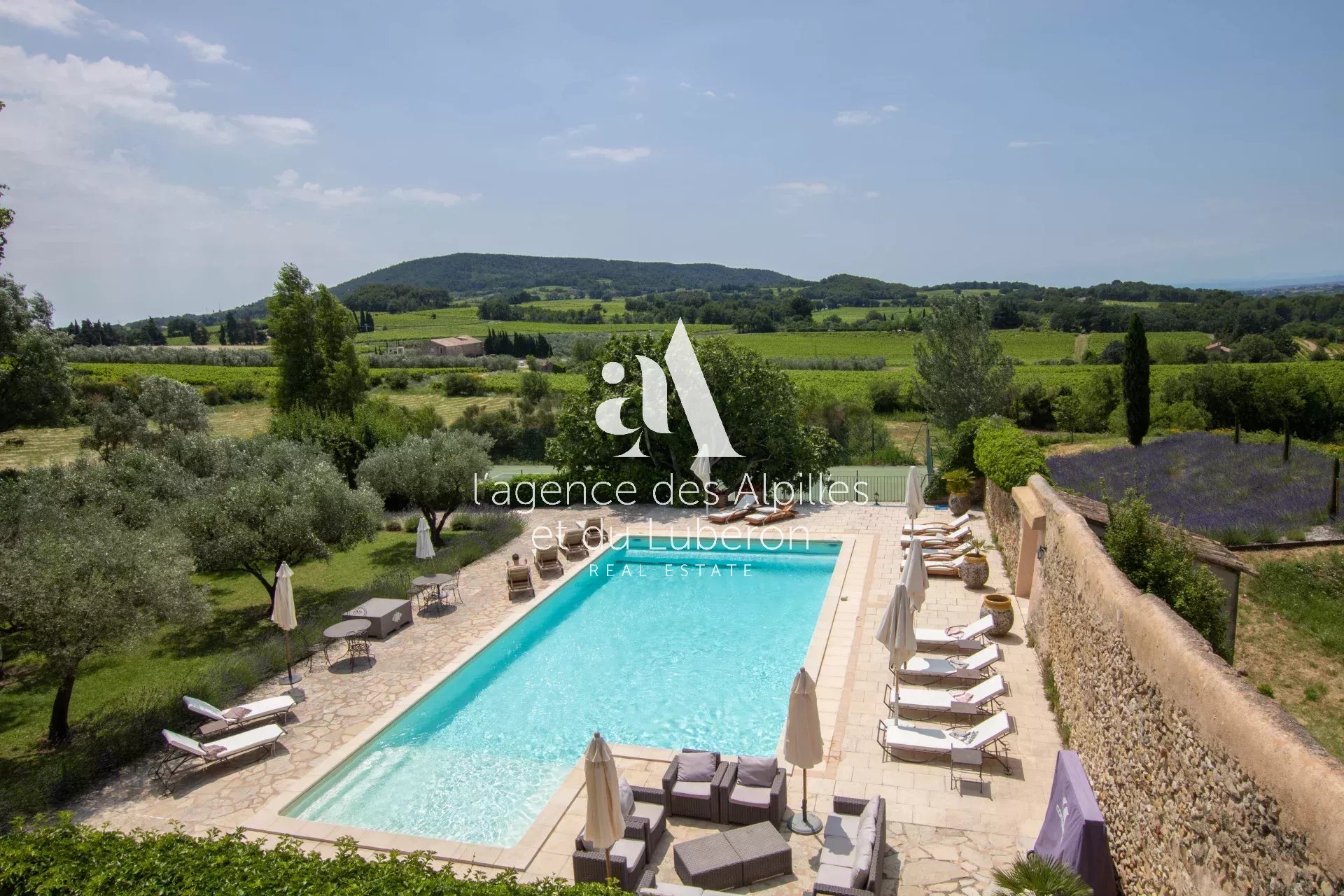 CHÂTEAU DE LA BAUDE - VILLEDIEU - VAUCLUSE - 8 BEDROOMS - 20 PEOPLE